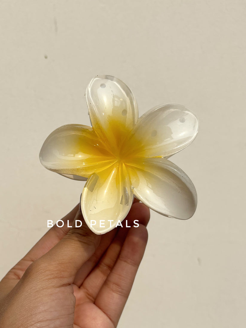 Daisy claw – Bold Petals